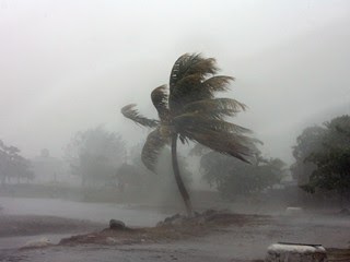 French Vocabulary Illustrated: bourrasque