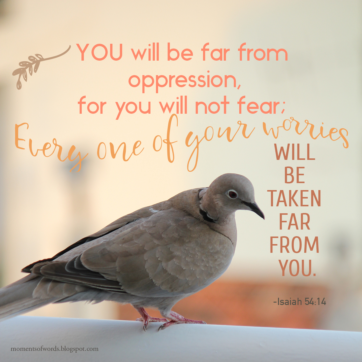 Say no to fear! #fearnot | Moments of words