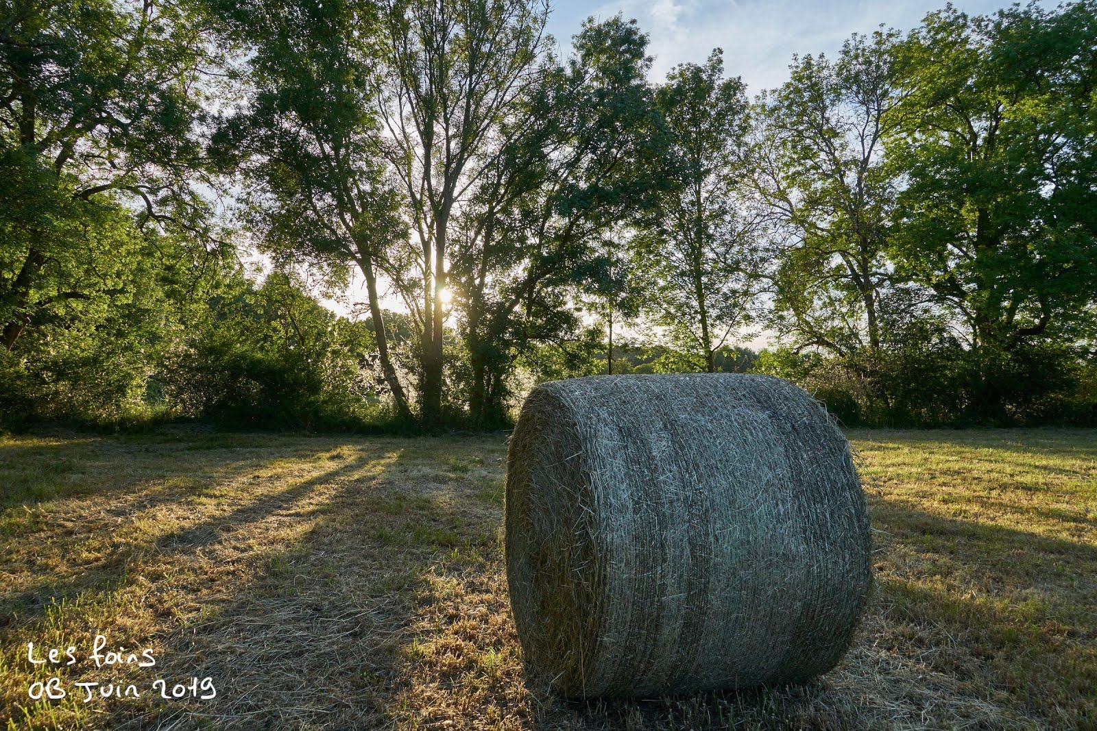 Les foins