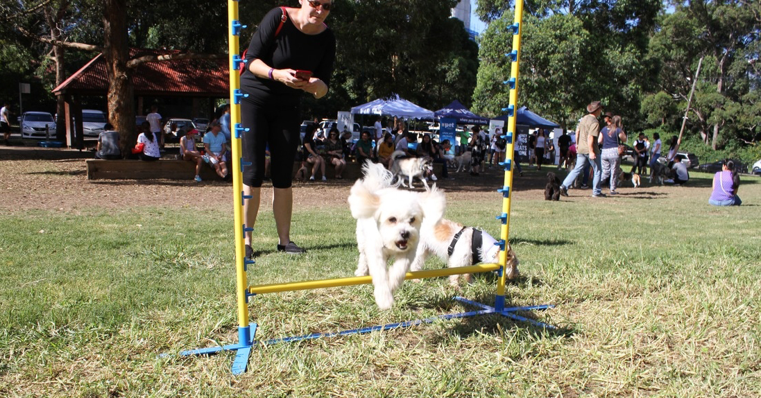 Mad Paws Easter Fair 2018 - March 17 | Australian Dog Lover