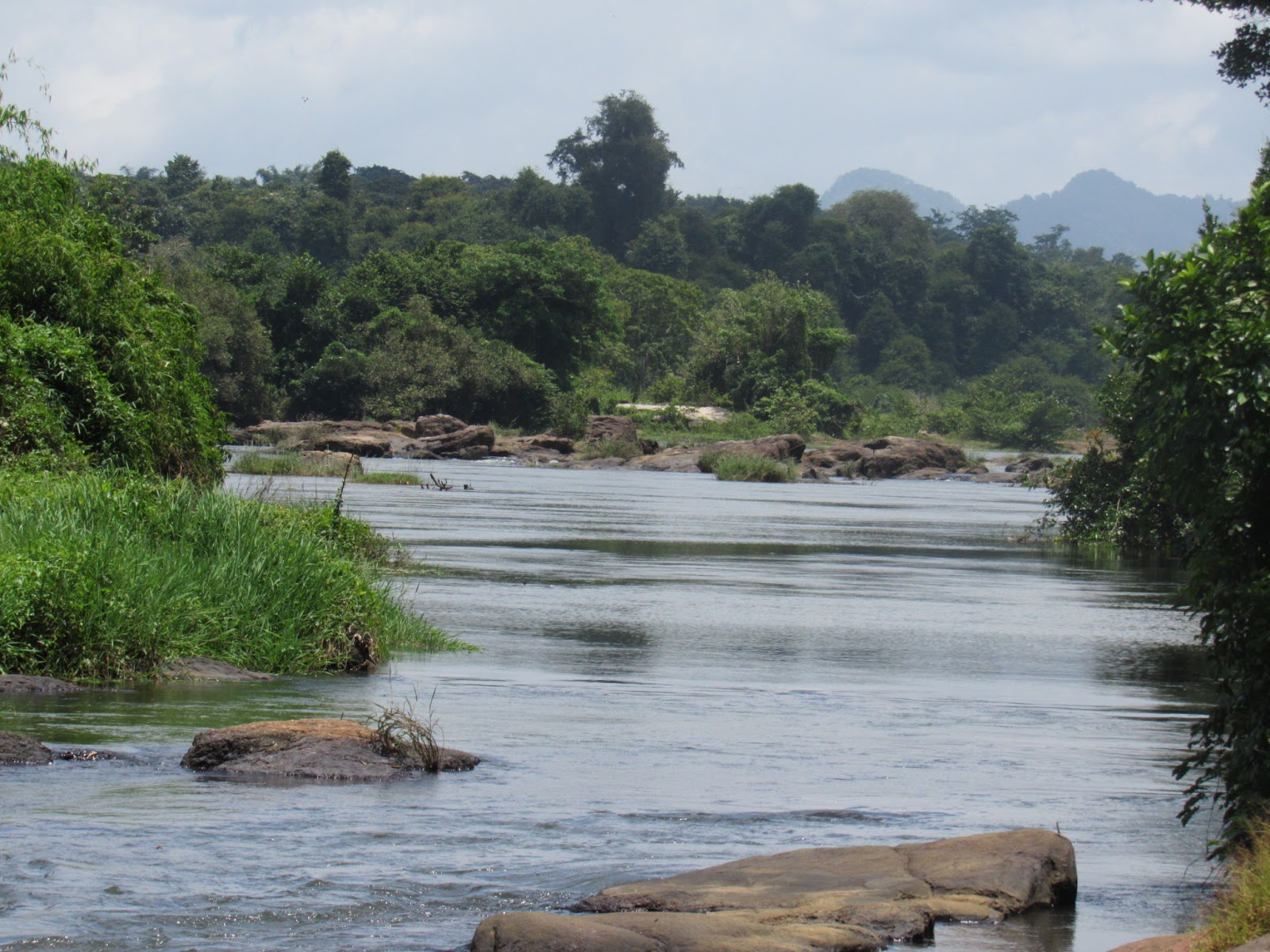KERALA: AN ODYSSEY: THE PERIYAR RIVER