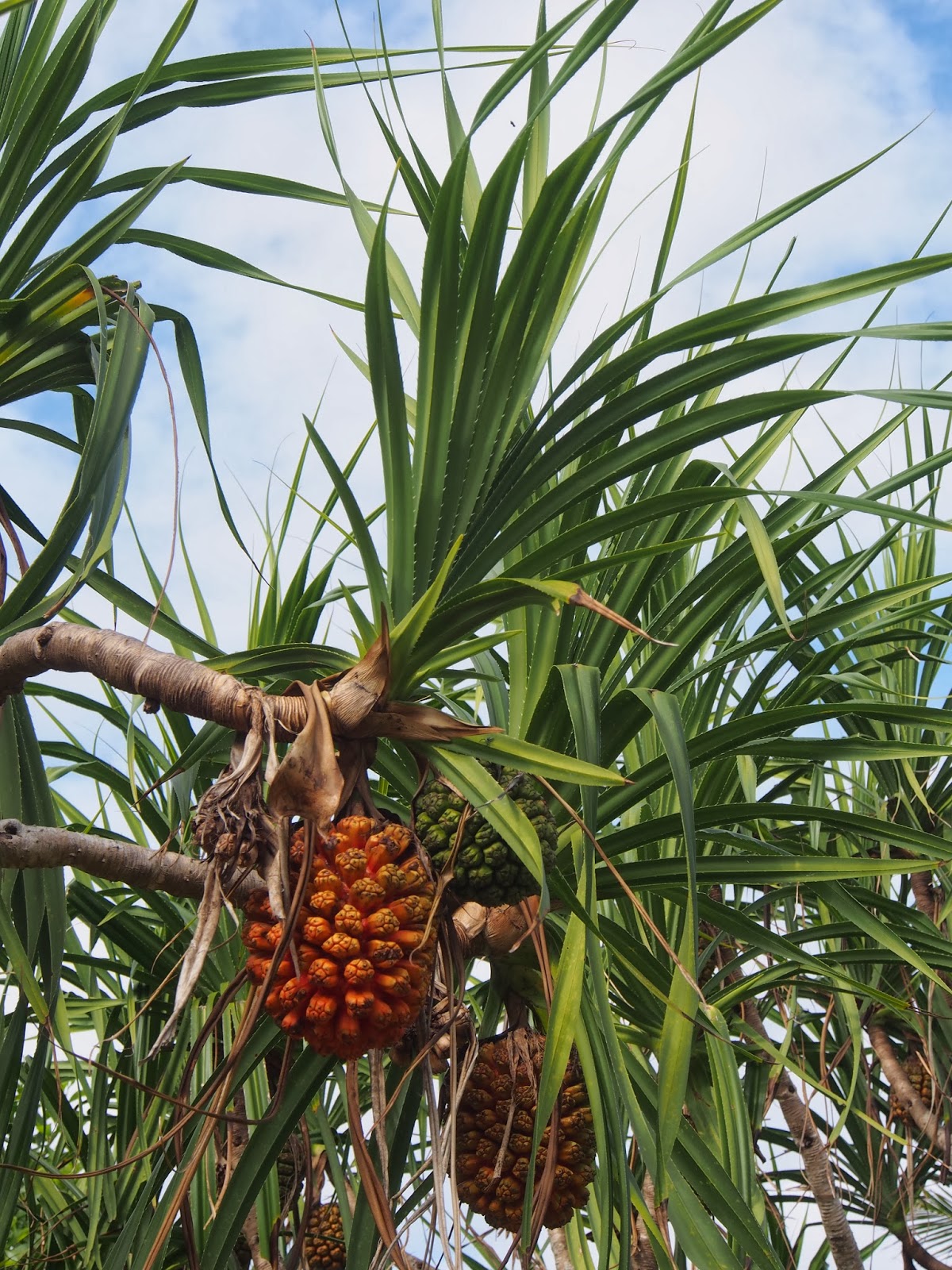 Splash of Yellow: February 2014