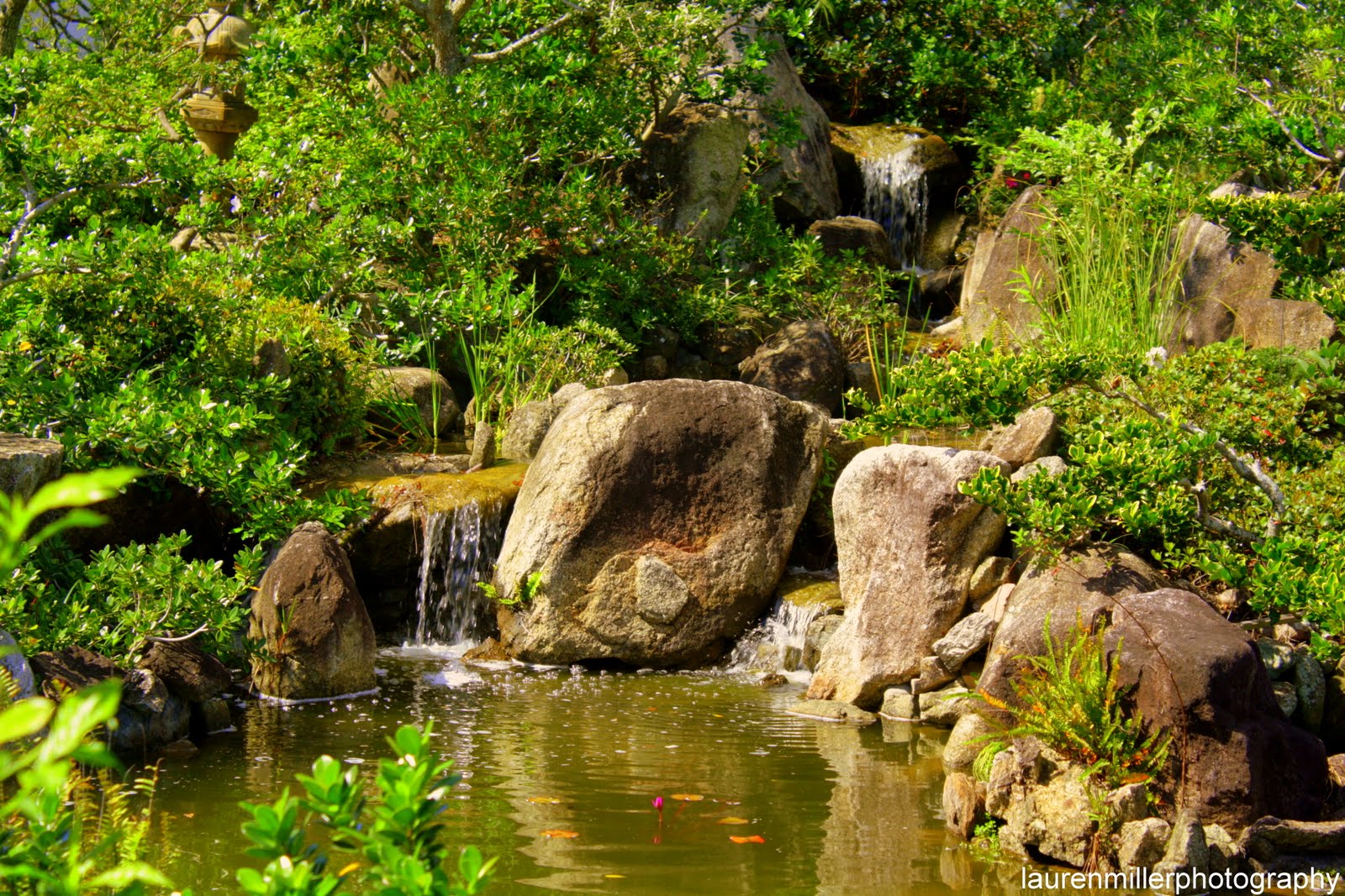 Photo Essays by Lauren Miller: The Morikami Museum and Japanese Gardens