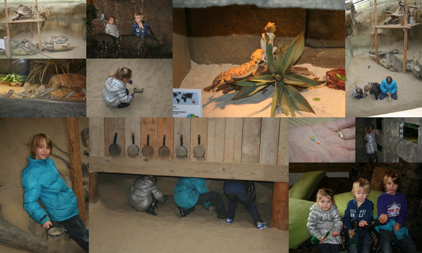 rita: Avonturia-de vogelkelder