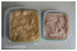 My Homemade Trials Files: {Basic Fruit Purée}
