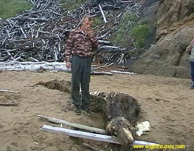 mdolla: Unknown creature was found by soldiers