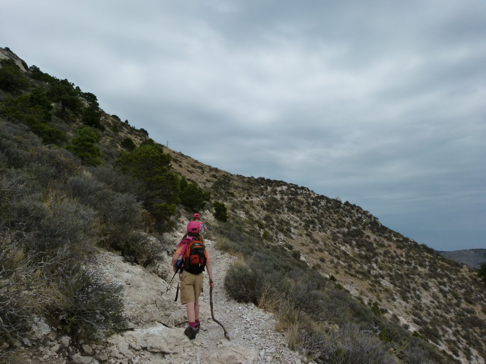 Trish, Alex, and Sage: Tuesday Trip Report: Highpoint: Texas. Guadalupe ...