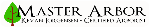 Master Arbor