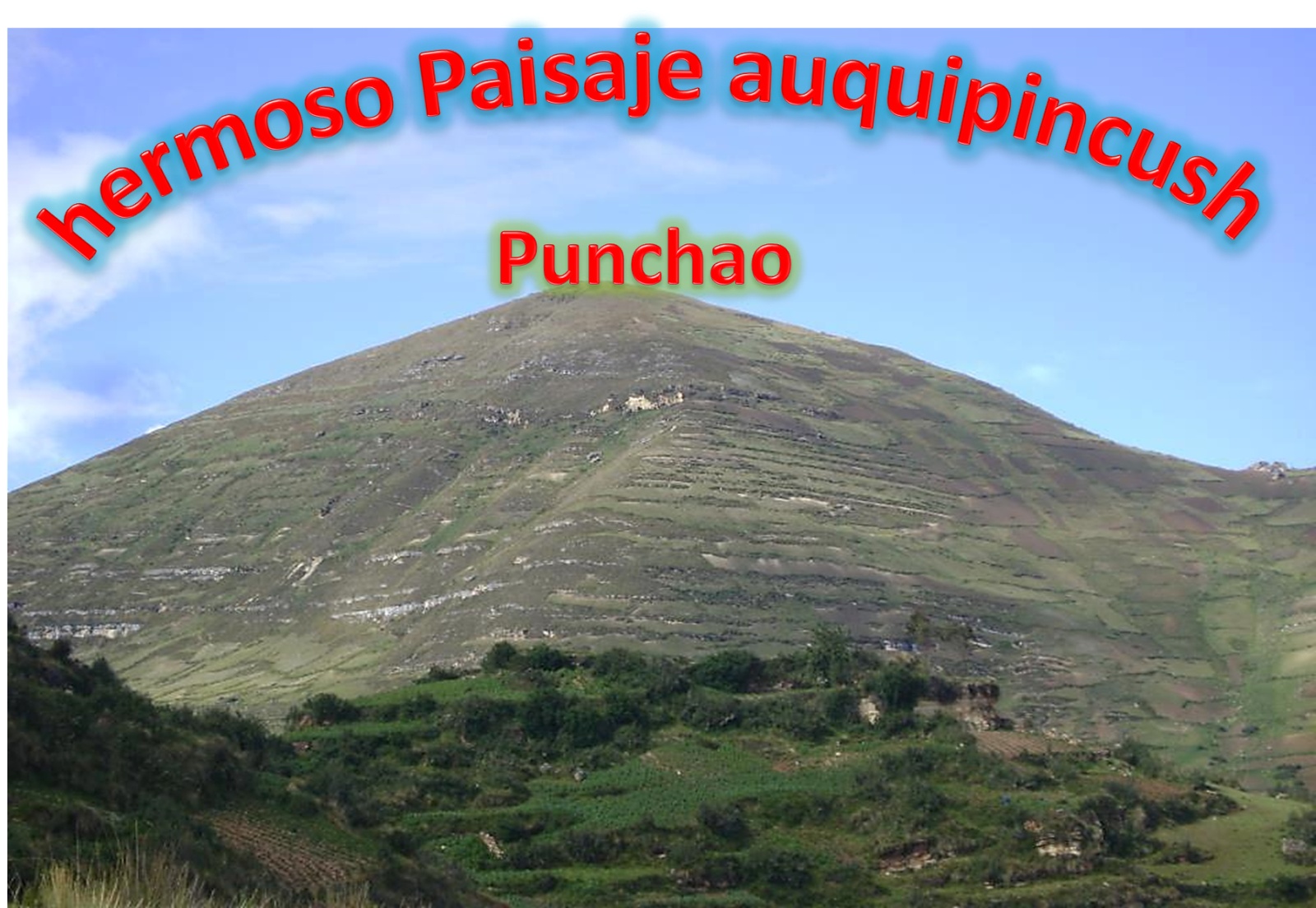 DISTRITO DE PUNCHAO HUAMALIES : asociación residente punchahinos en ...