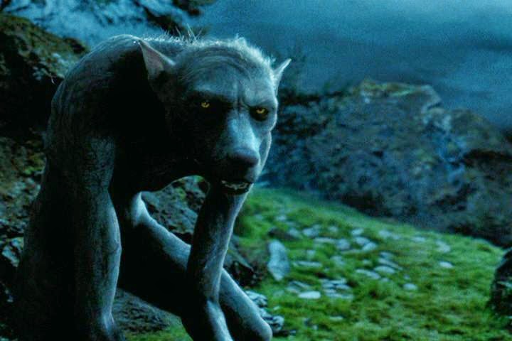 Profeta Diário: Os lobisomens