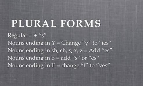 Some English words whose plural forms you may not know