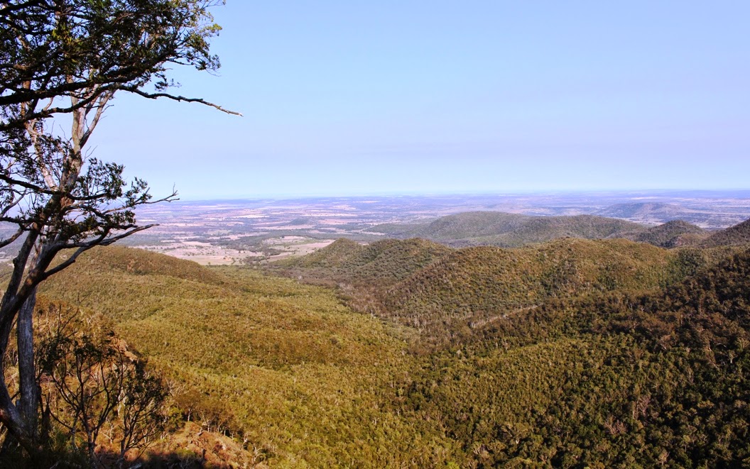 National Park Odyssey: Bunya Mountains National Park, QLD. Part 3 ...