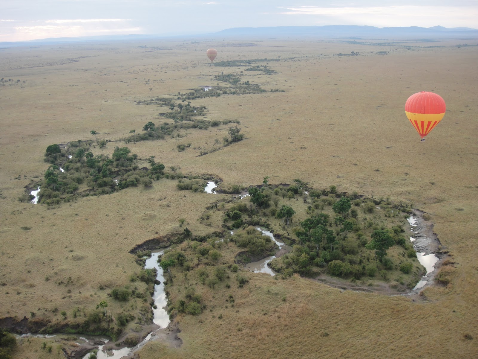 pakdoktergolfblog: An Aerial Safari of the Masai Mara