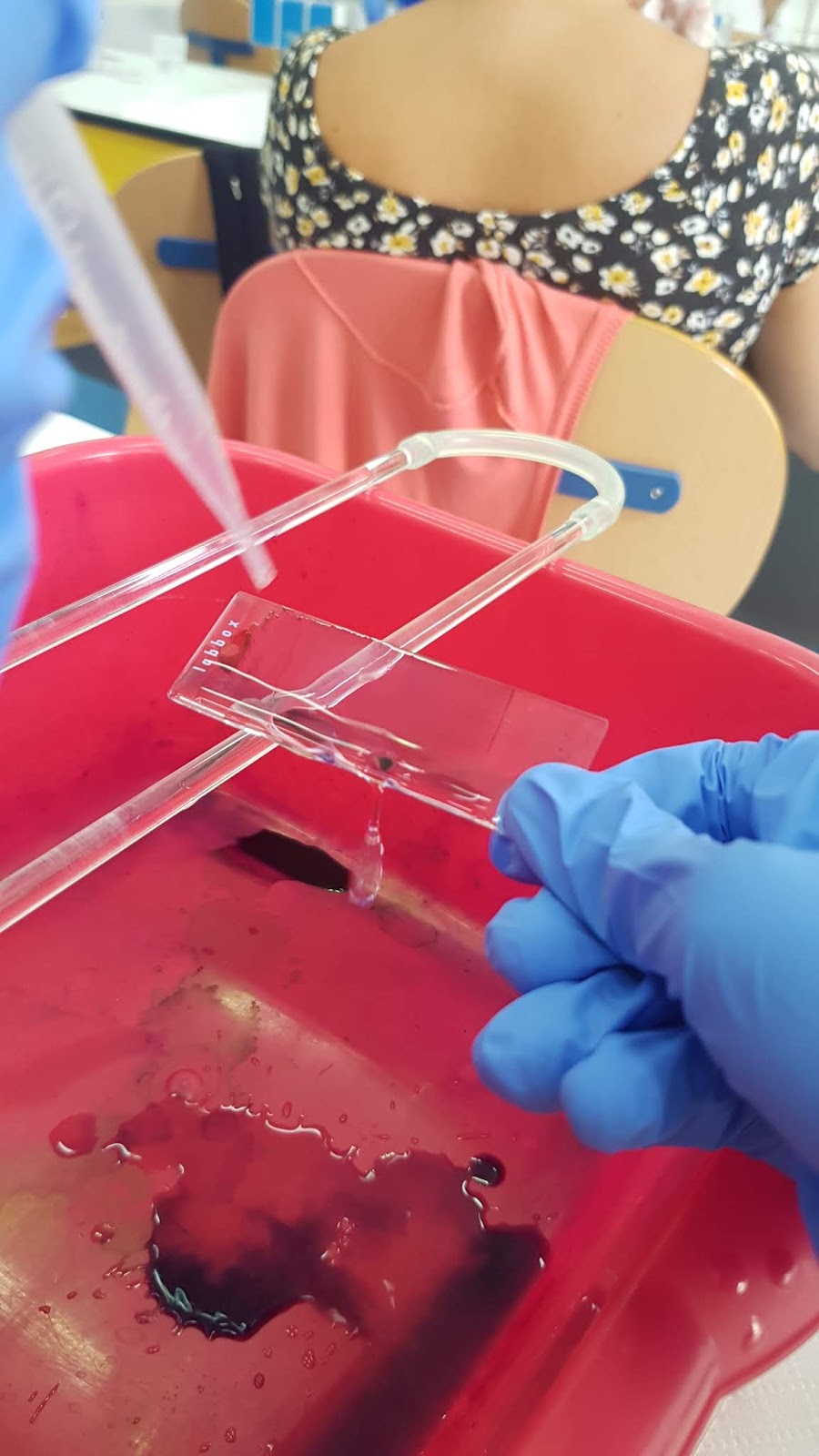 Hematología: Práctica 3: Tinción con Giemsa