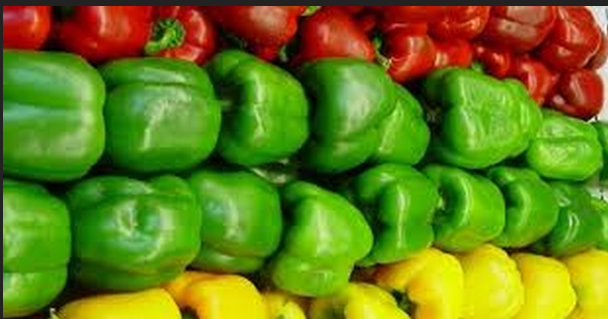 Consultoria Experta en negocios de Agricultura, Ganaderia y Forestales ...