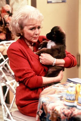 Guest Post: The Golden Girls, by Jennifer Fabulous | A•Mused