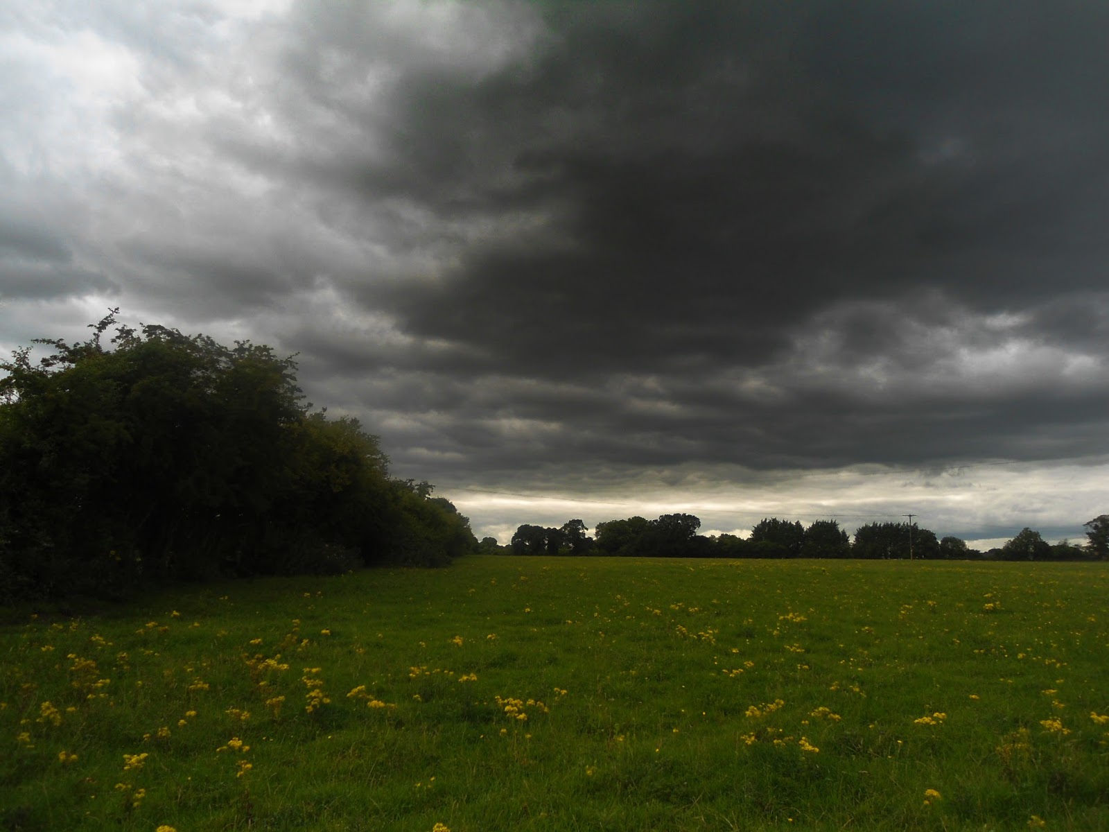 Jan's Blog: Defining Meekness and Humility