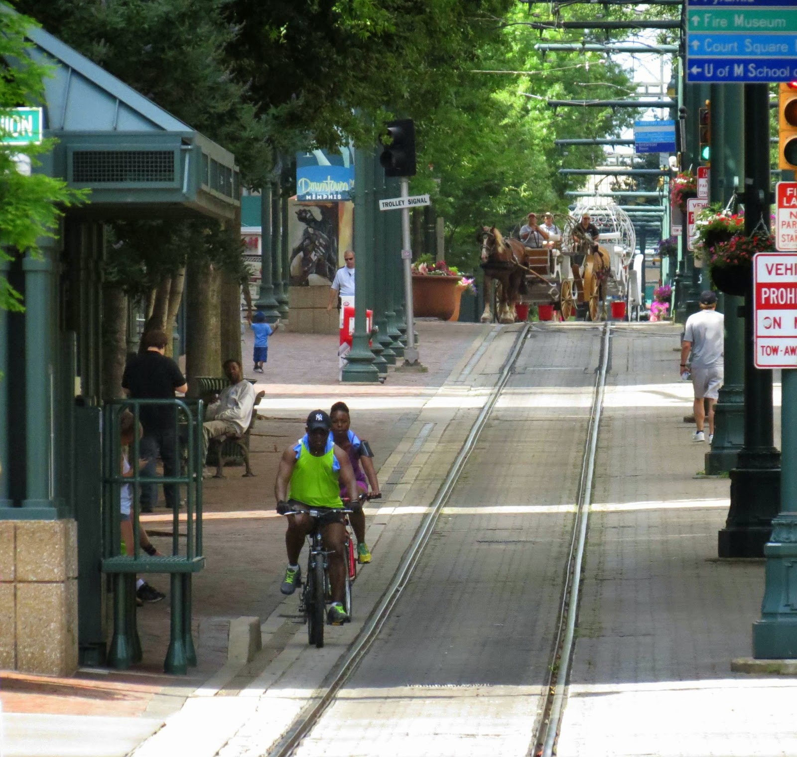 Memphis Cyclist: Cycling is all about numbers and they can tell what we ...