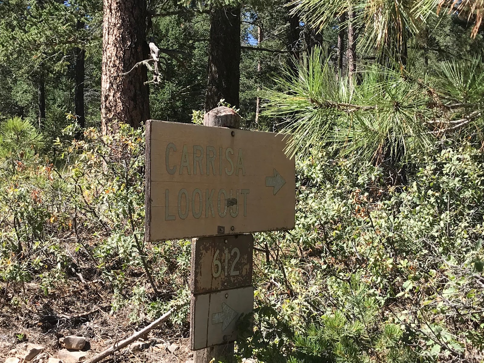 Southern New Mexico Explorer: Carissa Lookout, Long Canyon-Lincoln ...