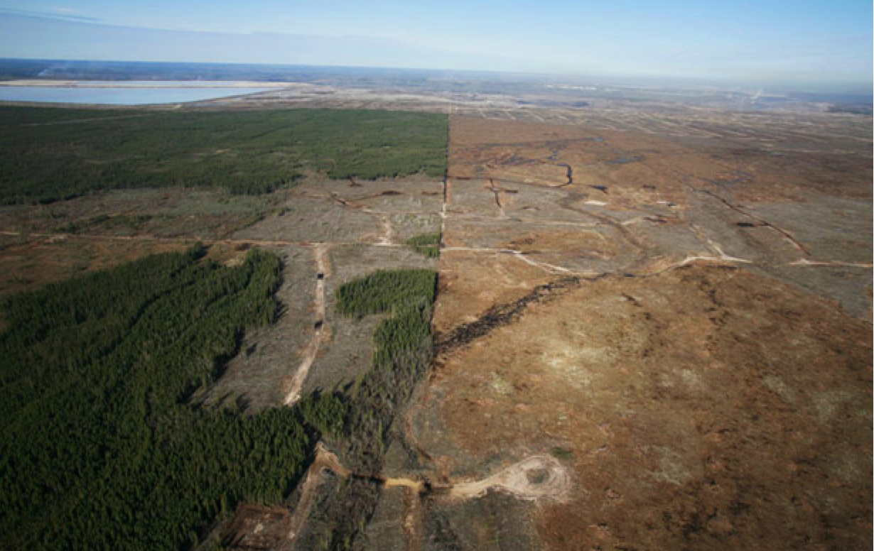 Nature alerte: 20/10/2014...La déforestation en Amazonie s'accélère ...