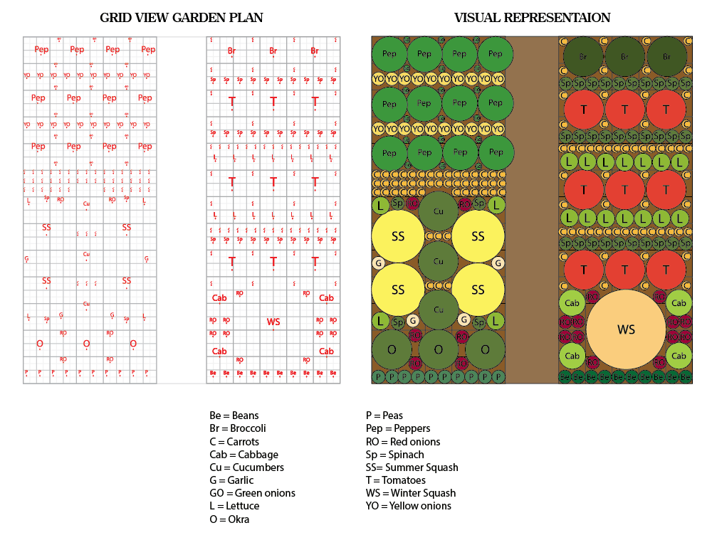 Southern Mom Loves: How to Interplant to Get the Most out of a Small ...