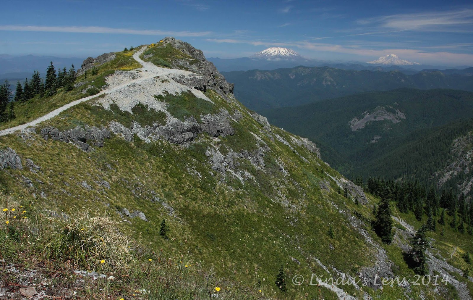 Linda's Lens: Silver Star Mountain