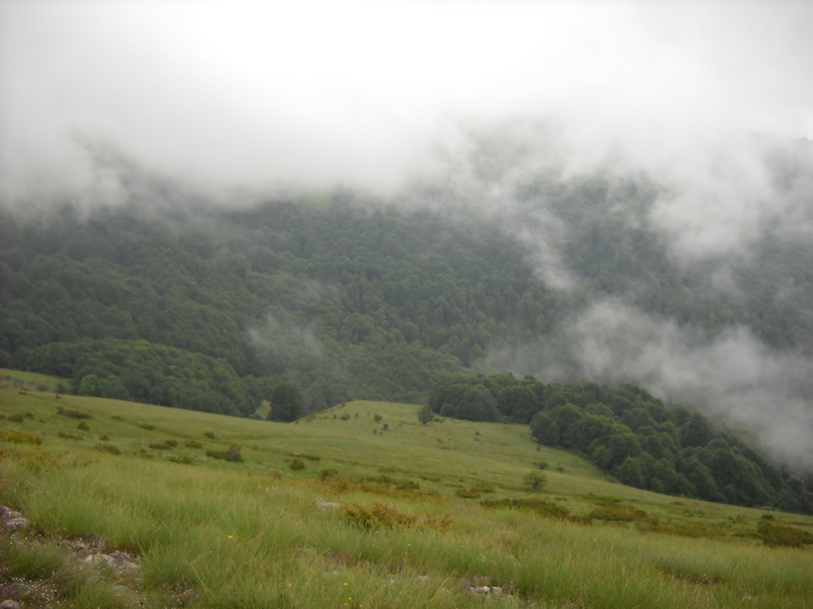 LAZAROPOLE MACEDONIA: LAZAROPOLE - MOUNT BISTRA - JUNE 2011 PHOTOS BY ...
