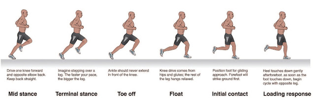 Shin Splints and Hip Weakness in Athletes