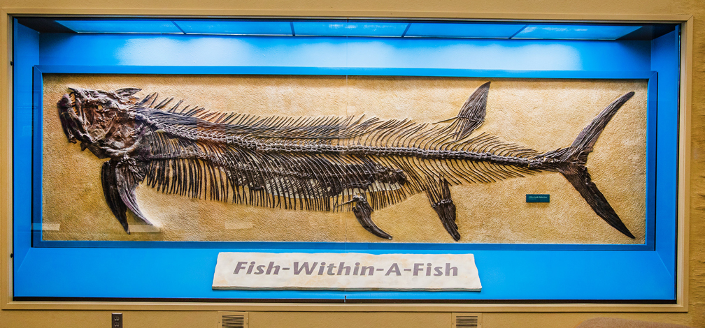 Kansas Transportation: Sternberg Museum