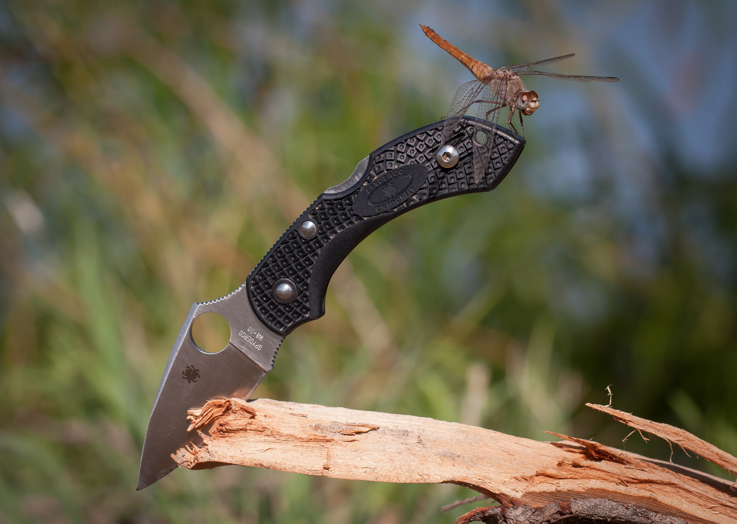 El Centavo's Gear Reviews: Spyderco Dragonfly 2 FRN review