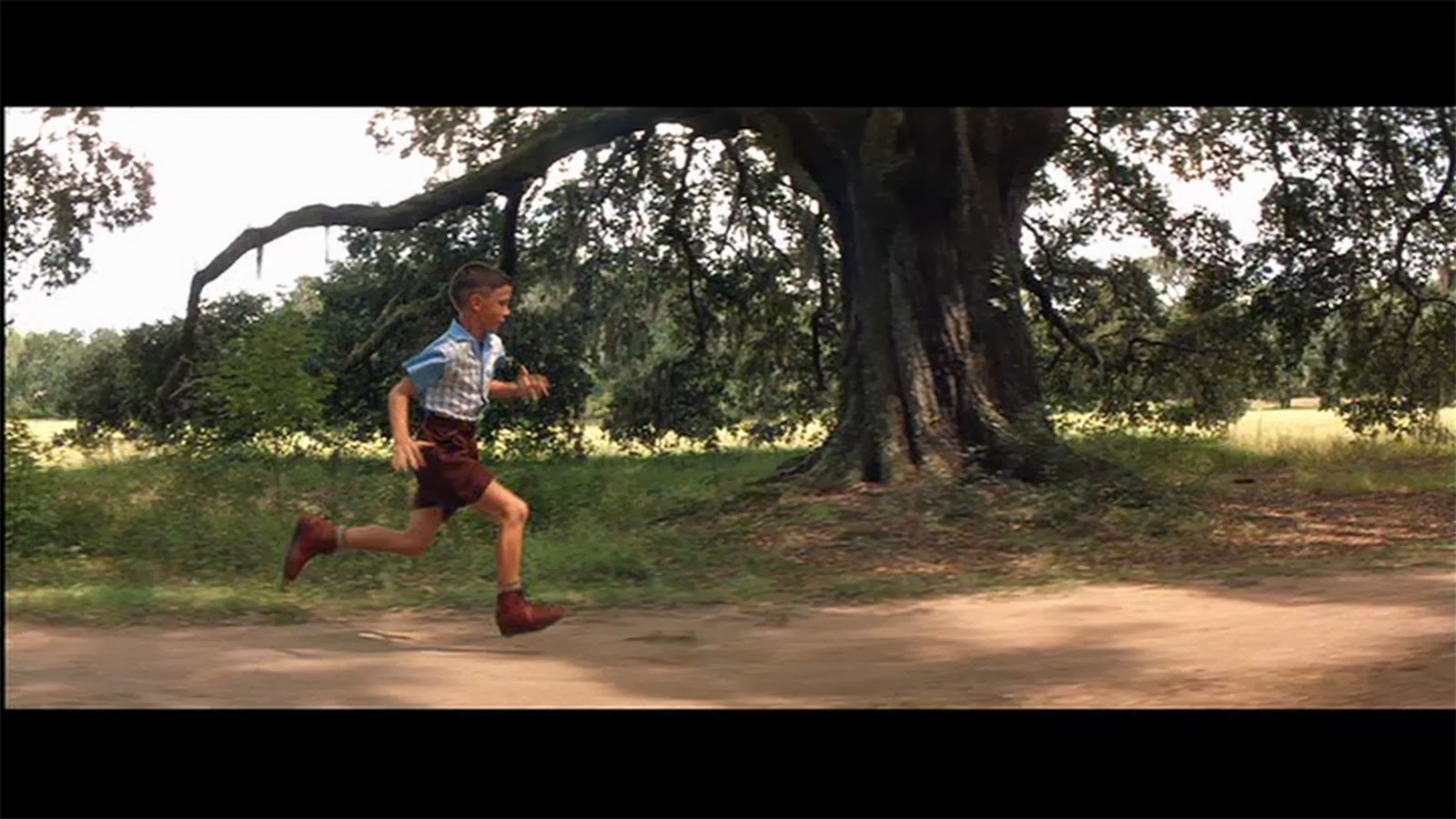 La boîte à clous: La première séance: Forrest Gump # 4 - Cours Forrest!