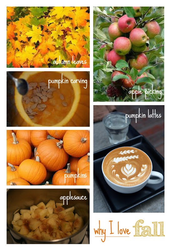 1075sf: waiting for fall