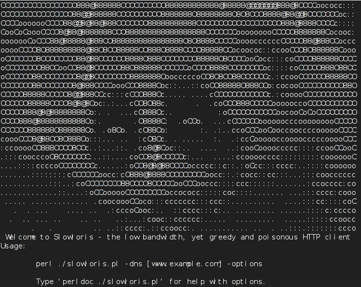 Slowloris Ataque Dos ~ Secpronet