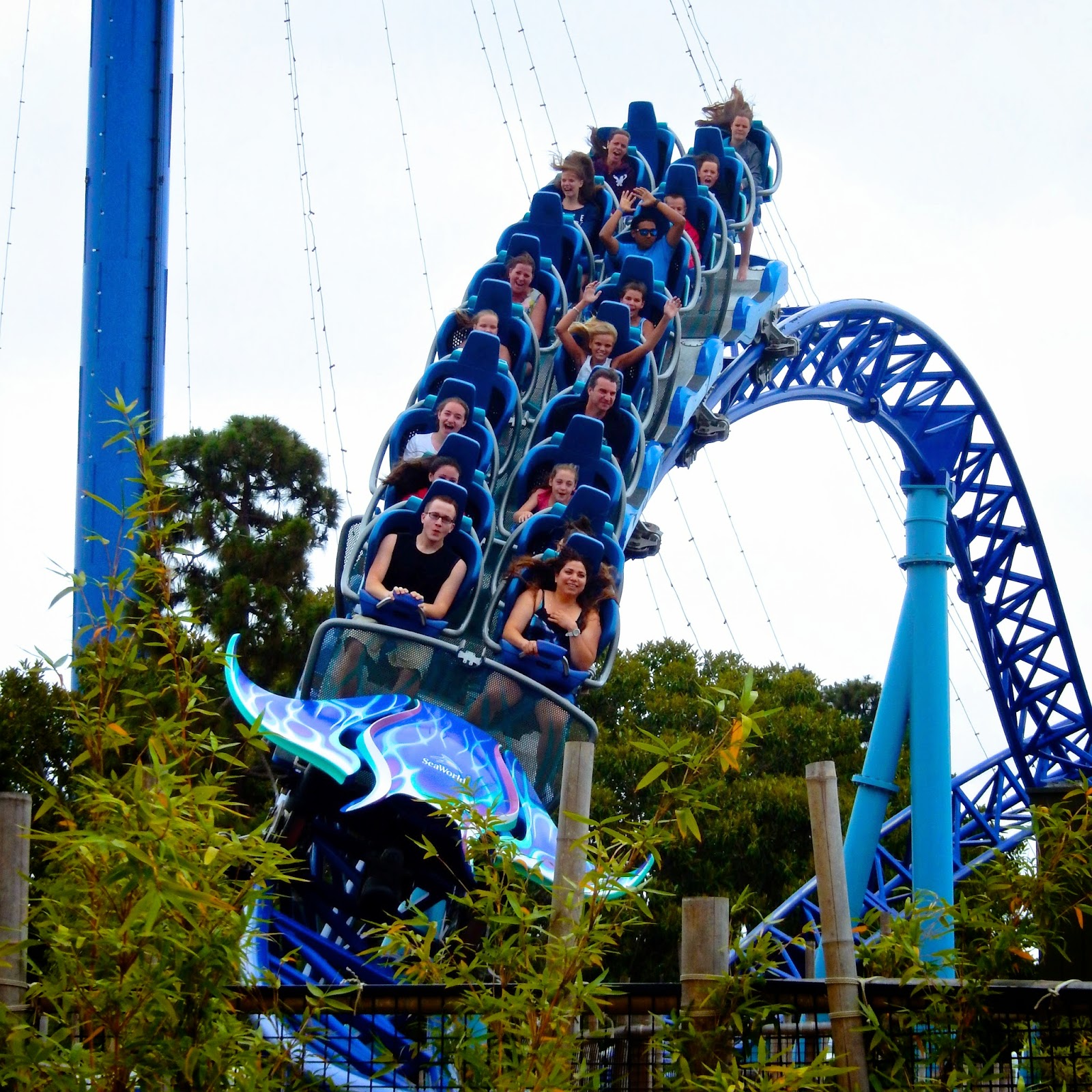 Thrillography: SeaWorld San Diego + Scandia Ontario: My Bodacious ACE ...