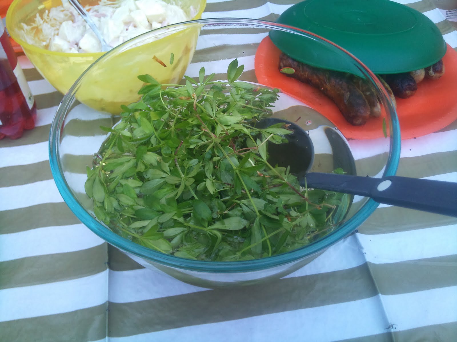 Sousies tägliche Gedanken: April 2011