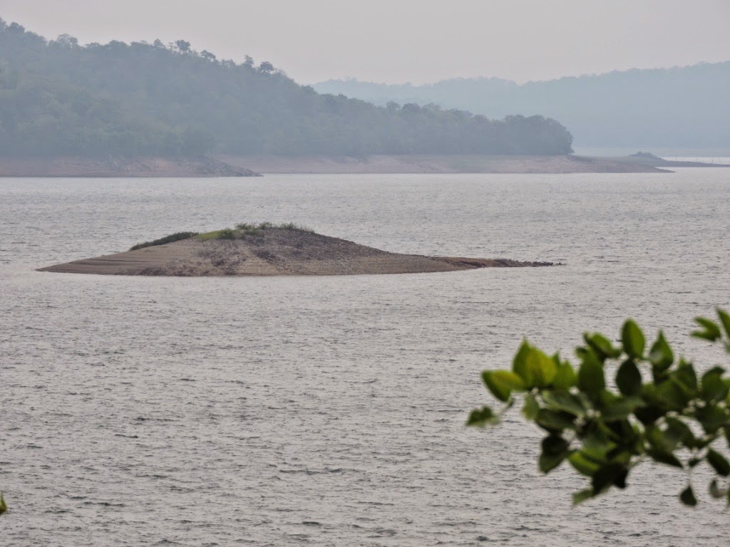 Manoj Saldana: Bhadra River Project (BRP), Bhadravathi