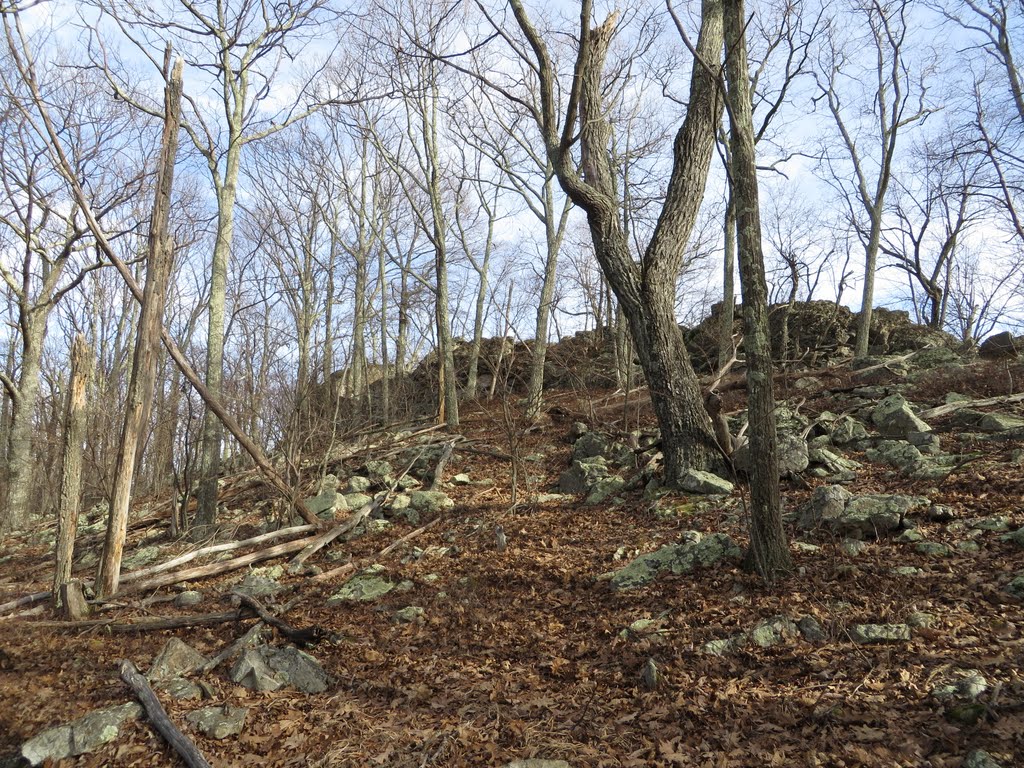 Skookum Traveler: Big Ridge and Cranny Crow (WV)