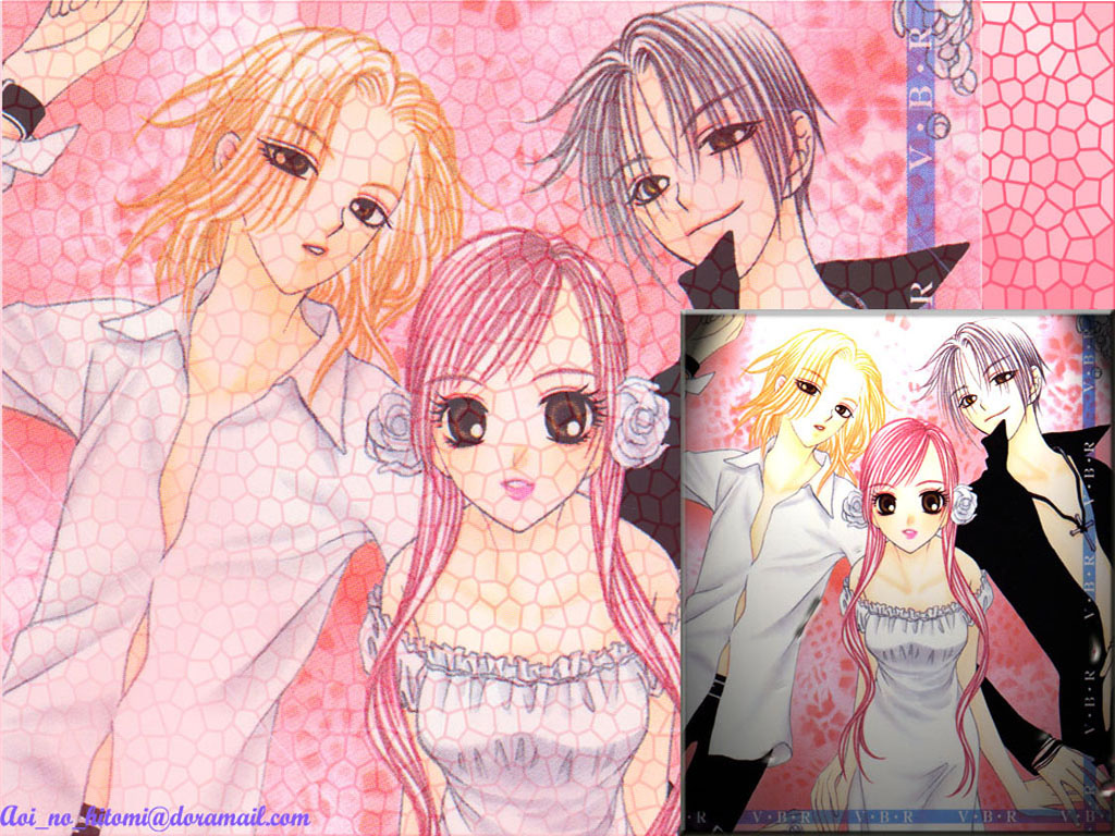 V.B.Rose | My Gallery