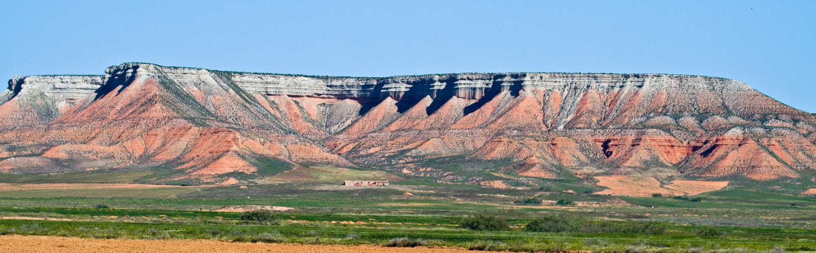 PETER'S PORTFOLIO..............Bird & Wildlife Photography: Plateau ...