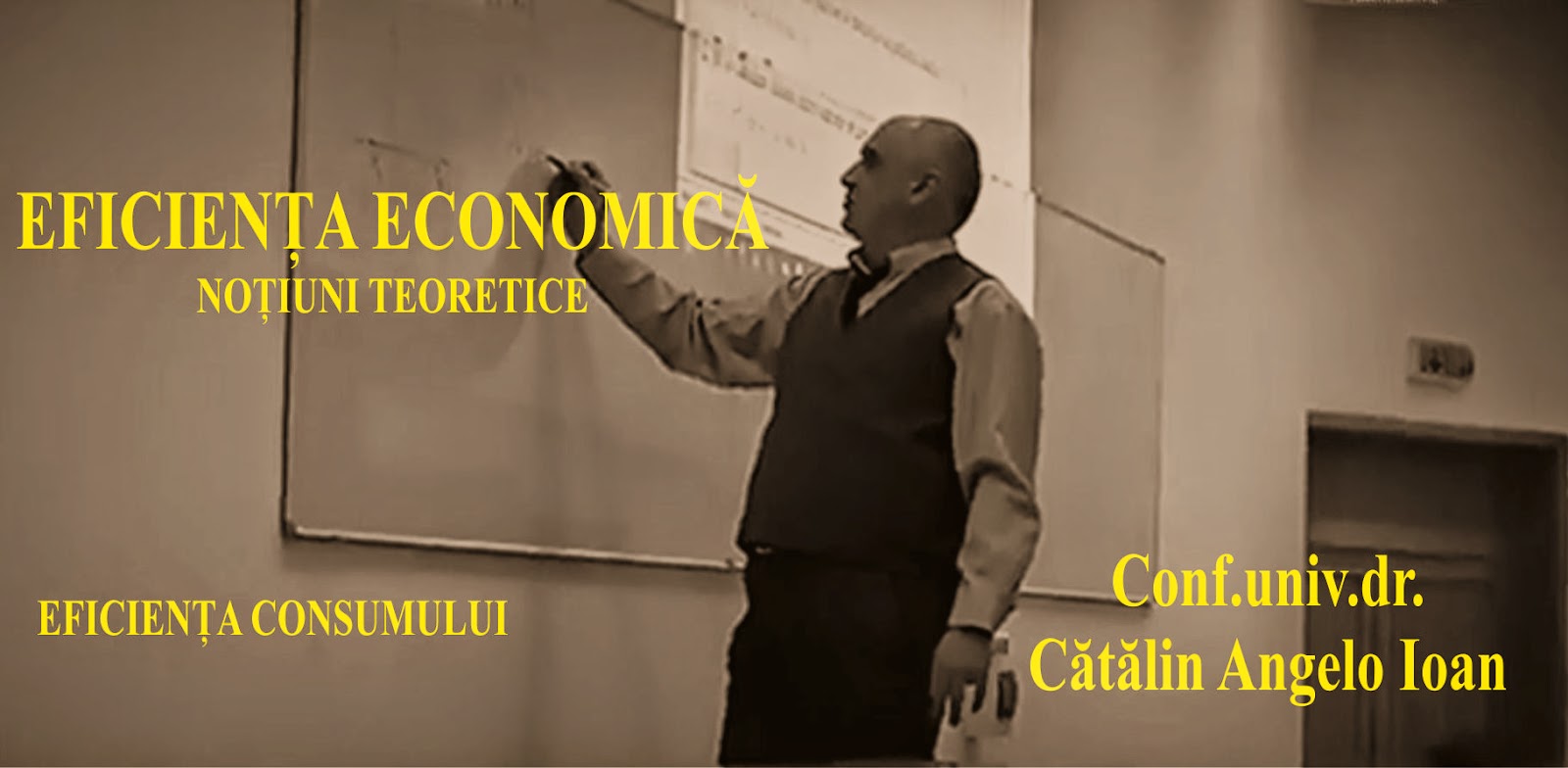 Matematica superioara: Eficienta economica