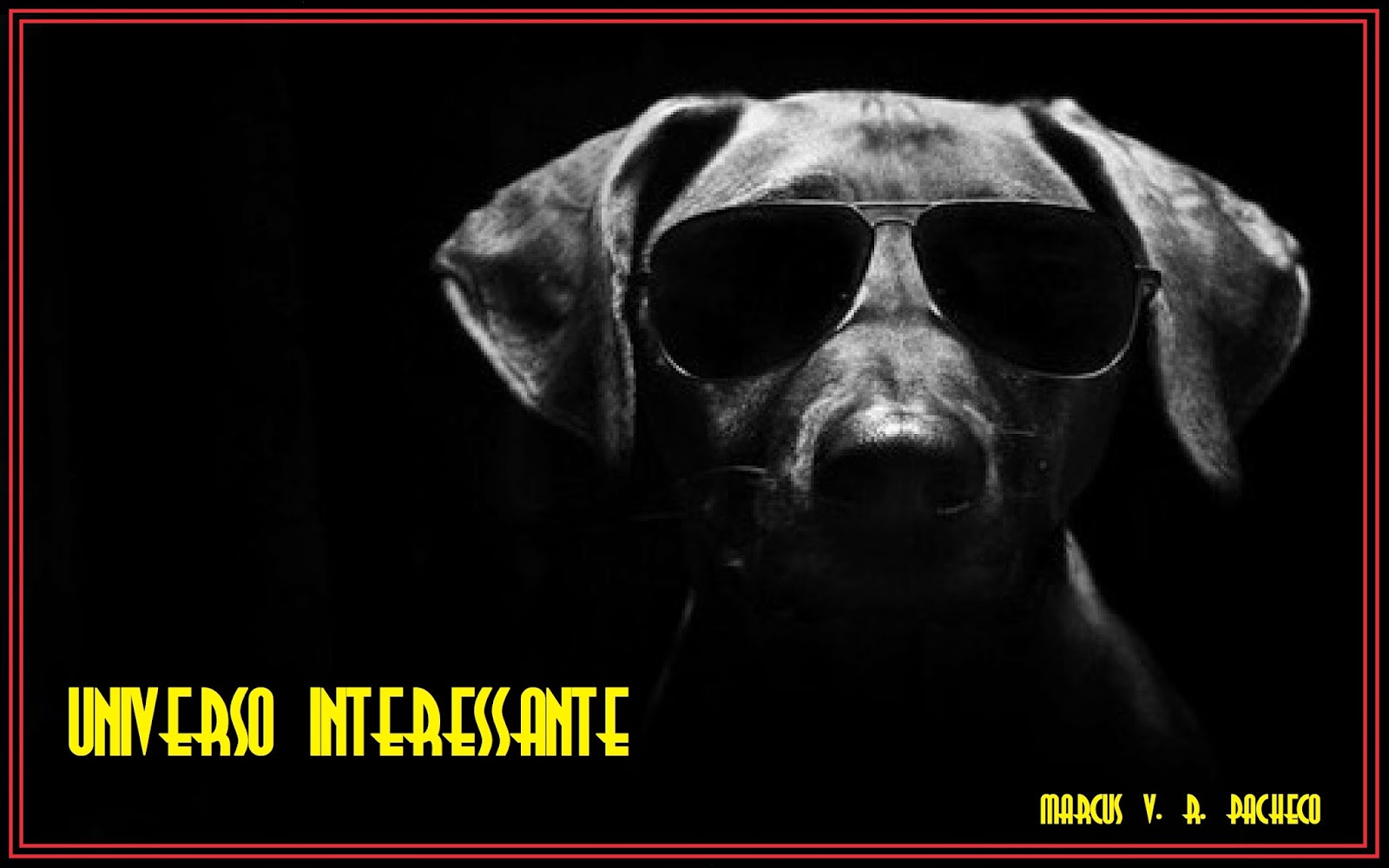 OS PÁSSAROS (THE BIRDS-1963) STORYBOARDS - PIPOCA 3D