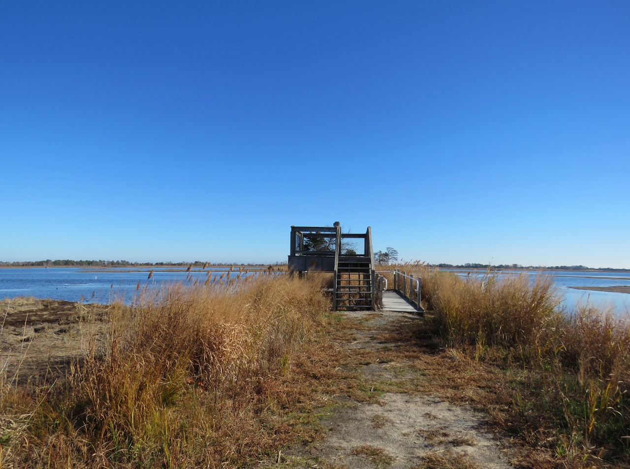 Gone Hikin': Prime Hook National Wildlife Refuge, DE