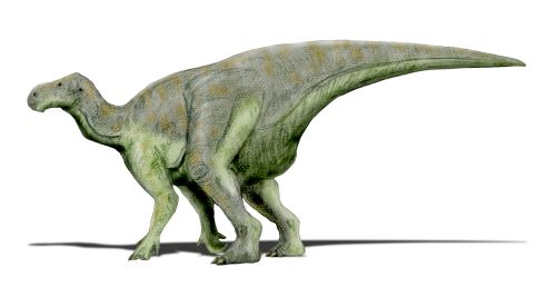 Los animales en la prehistoria: Animales prehistóricos con la letra B