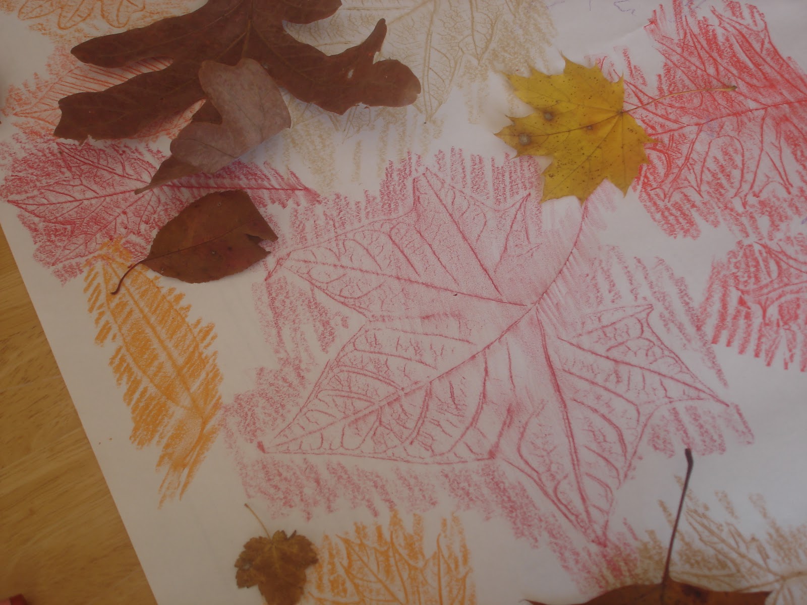 Fiber Flux: Crafty Tutorial: Fall Leaf Rubbings
