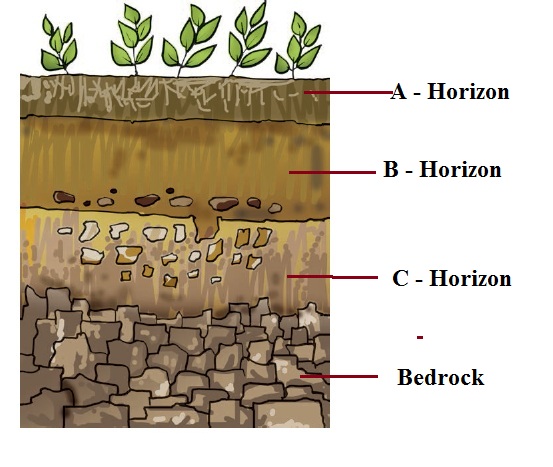 SOIL - THEIR TYPES AND PROPERTIES