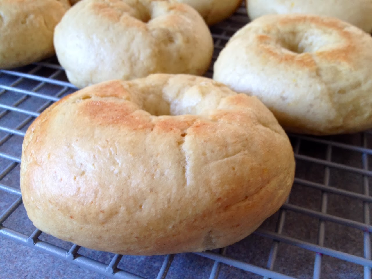 J Bird Baker: Lemon Zest Bagels