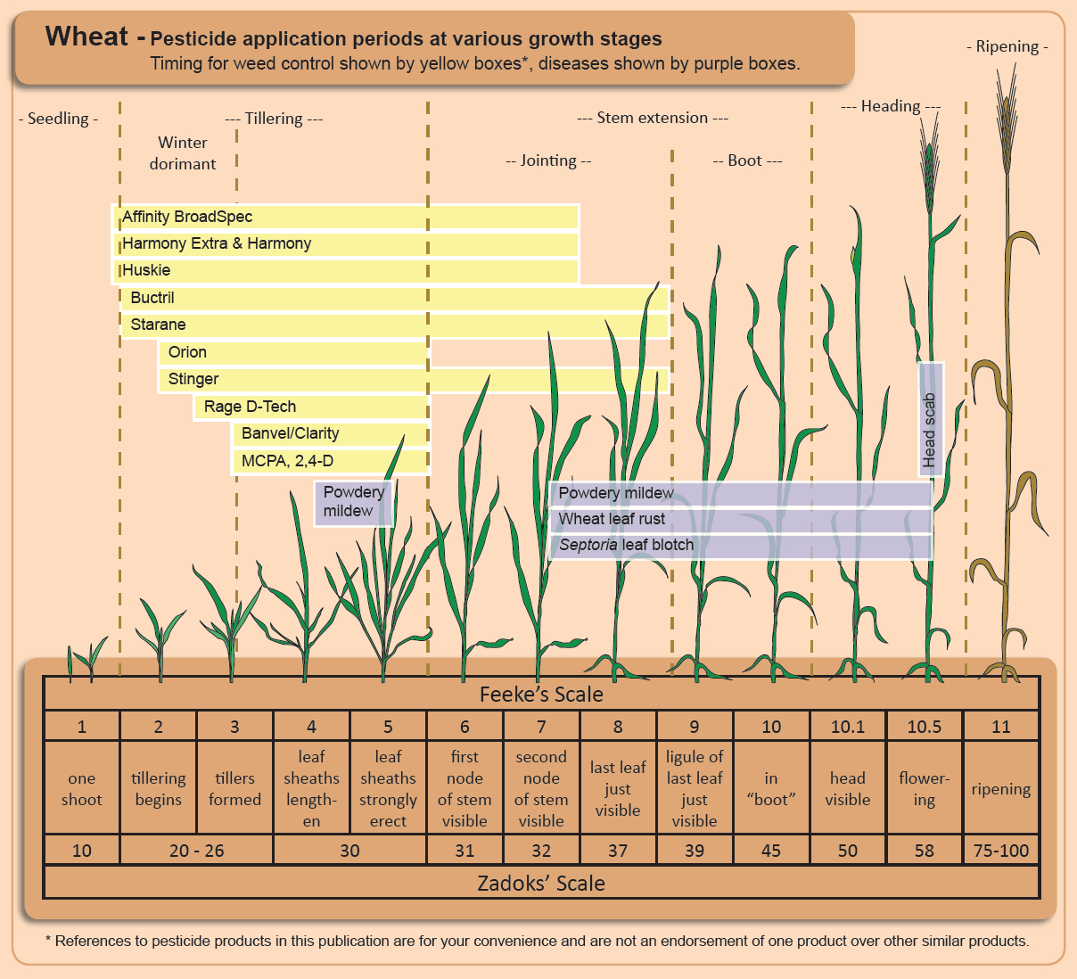Using Growth Regulator on Small Grains(Cerone/ Palisade) – Lebanon Crop ...