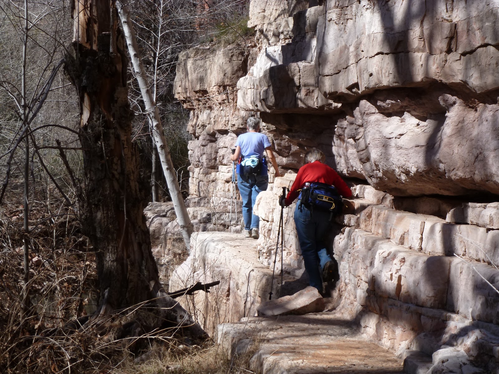 The Continuing Adventures of Eric, Noelle and Sierra: Coconino National ...