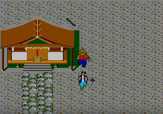The Videogames Museum: THE NINJA (MASTER SYSTEM)