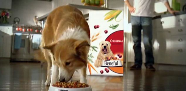 TECH HEIGHT: Pet food TV advert feature dog-only frequencies